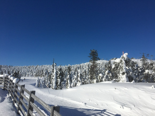 2025年3月Ruka Ski Resort景点攻略-Ruka Ski Resort门票预订|地址|图片-Ruka Ski Resort景点 ...