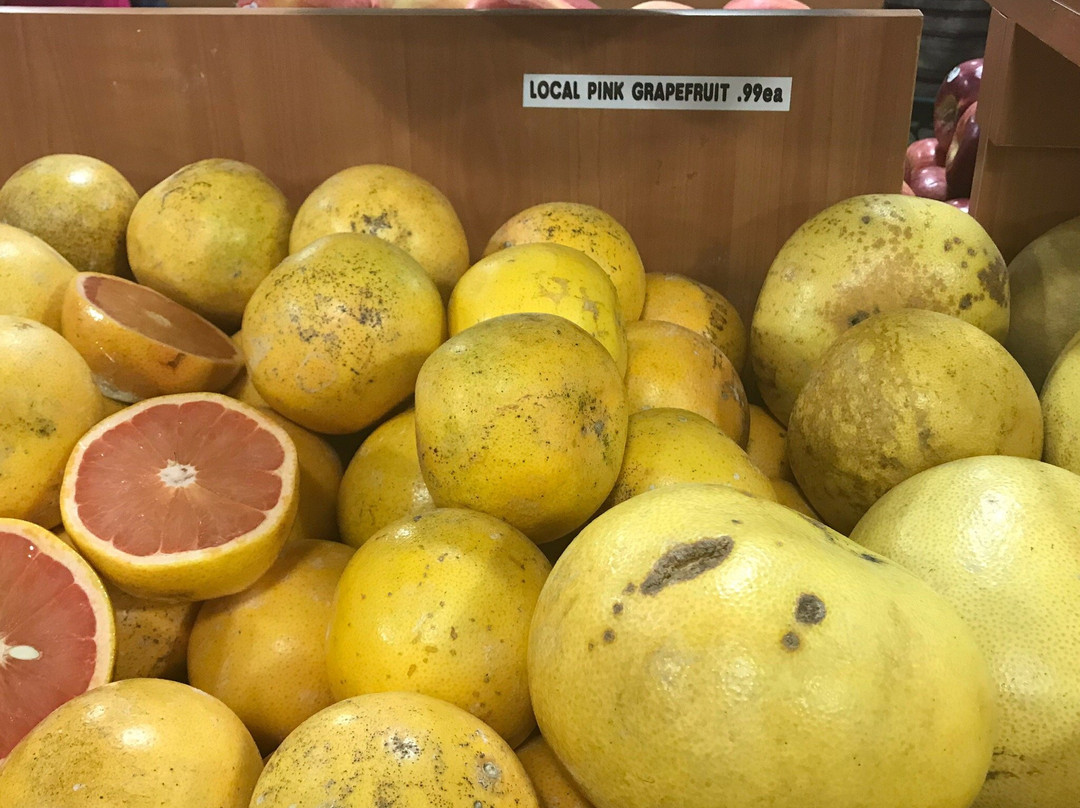 2024年1月Bedner's Farm Fresh Market景点攻略-Bedner's Farm Fresh Market门票预订|地址 ... 2024年1月Bedner's Farm Fresh Market景点攻略-Bedner's Farm Fresh Market门票预订|地址 ...