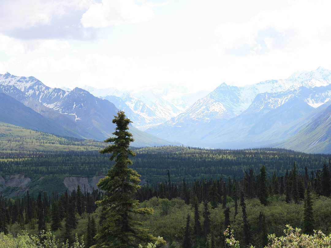 2024年1月Chickaloon景点攻略-Chickaloon旅游必去景点-Chickaloon景点大全-猫途鹰