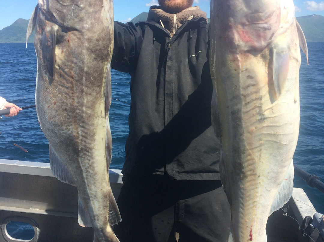 2025年9月Larsen Bay旅游景点攻略-Larsen Bay旅游住宿,-Larsen Bay旅游美食-猫途鹰