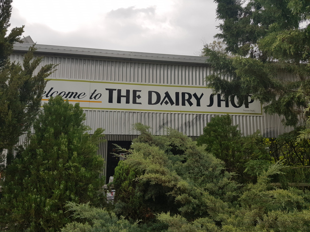 2023年11月Stanthorpe Cheese景点攻略-Stanthorpe Cheese门票预订|地址|图片-Stanthorpe ...