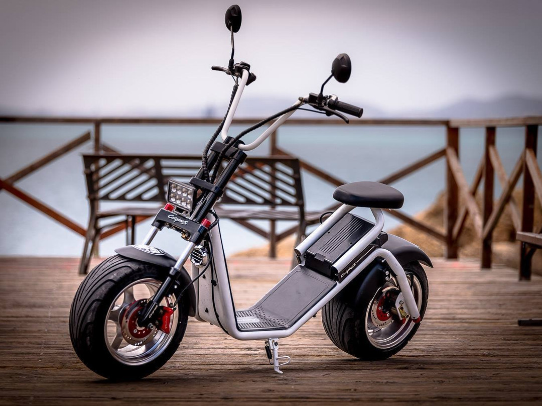 2023年12月Funbikes Zeeland景点攻略-Funbikes Zeeland门票预订|地址|图片-Funbikes ...