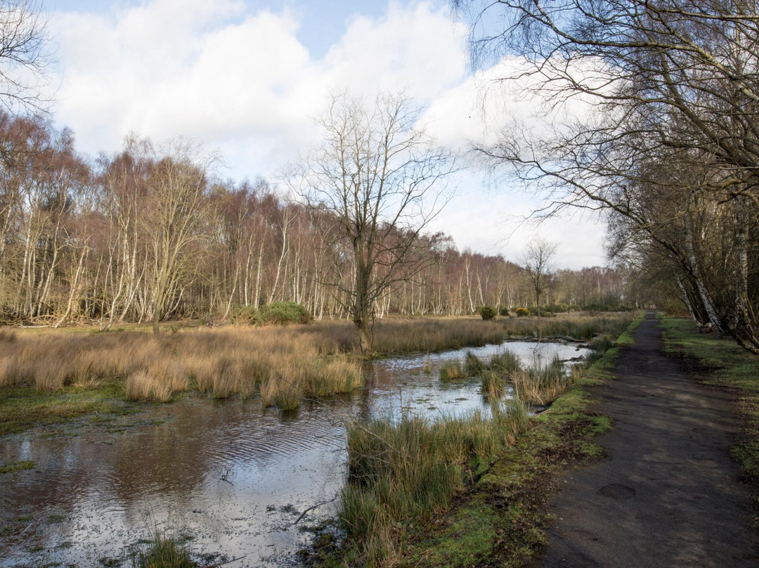 2023年12月Skipwith旅游景点攻略-Skipwith旅游住宿,-Skipwith旅游美食-猫途鹰