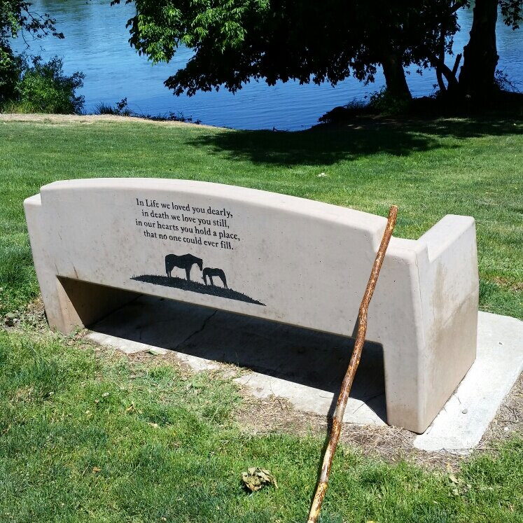 2023年12月Anderson River Park景点攻略-Anderson River Park门票预订|地址|图片-Anderson ...