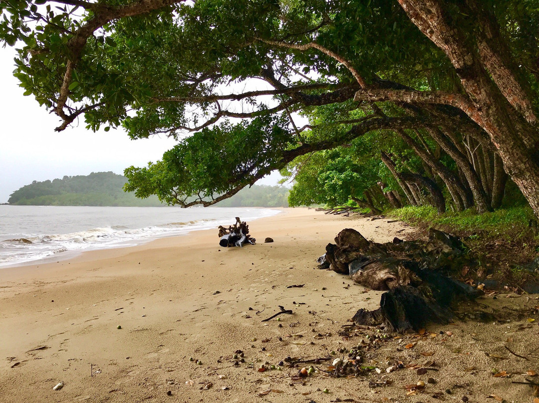 2023年11月Clump Mountain National Park景点攻略-Clump Mountain National Park门票 ...