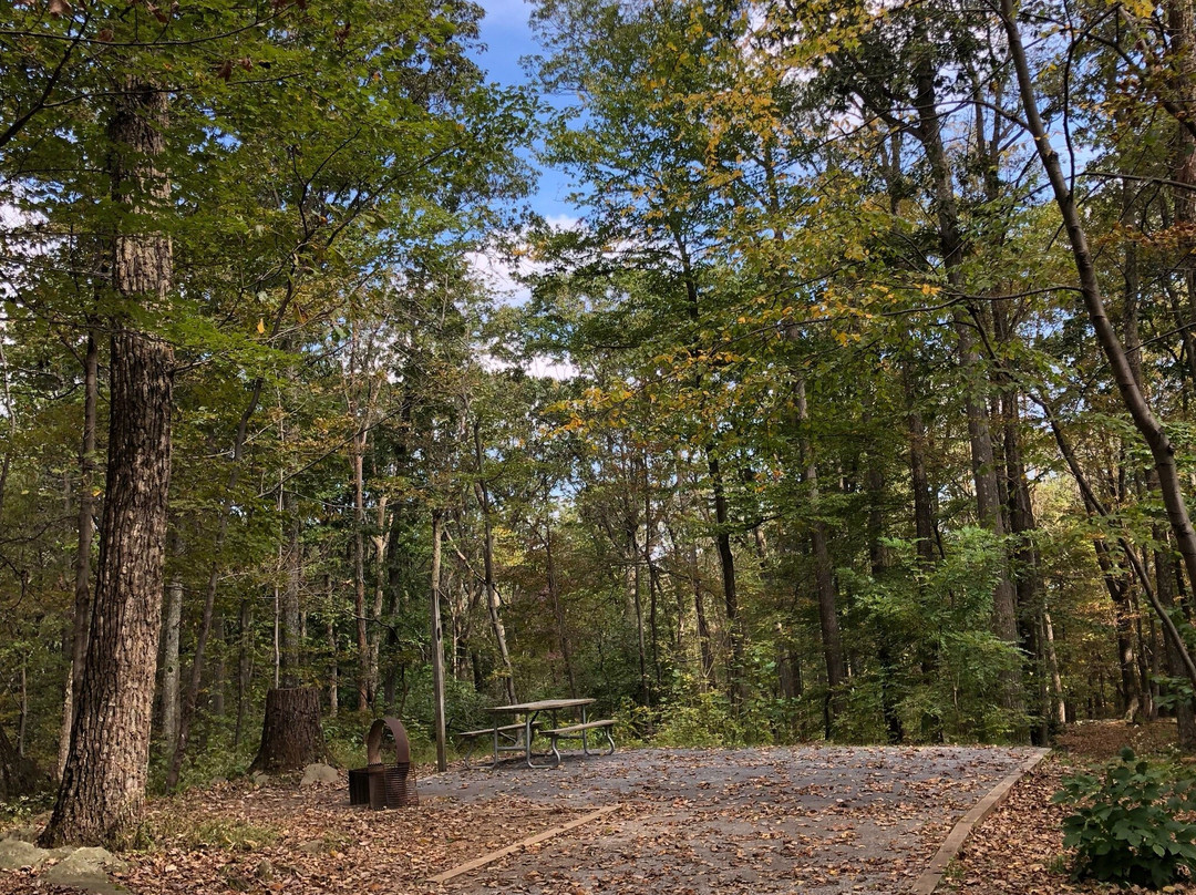 2024年1月Cunningham Falls State Park景点攻略-Cunningham Falls State Park门票预订 ...