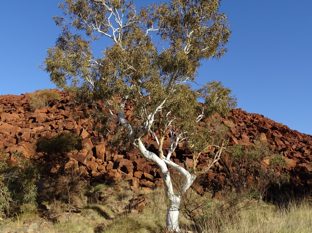 2024年1月Murujuga National Park景点攻略-Murujuga National Park门票预订|地址|图片 ...