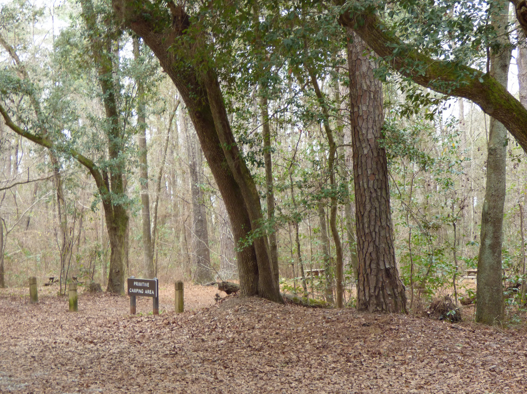 2025年2月Colleton State Park景点攻略-Colleton State Park门票预订|地址|图片-Colleton ...