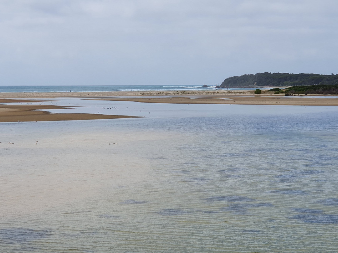 2024年6月Cape Howe Marine National Park景点攻略-Cape Howe Marine National ...