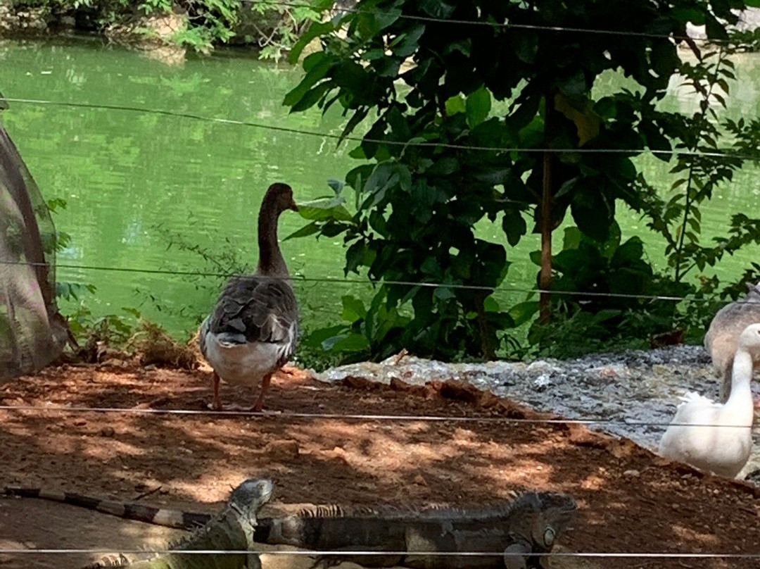 2023年12月Parque Animaya景点攻略-Parque Animaya门票预订|地址|图片-Parque Animaya景点点评-猫途鹰