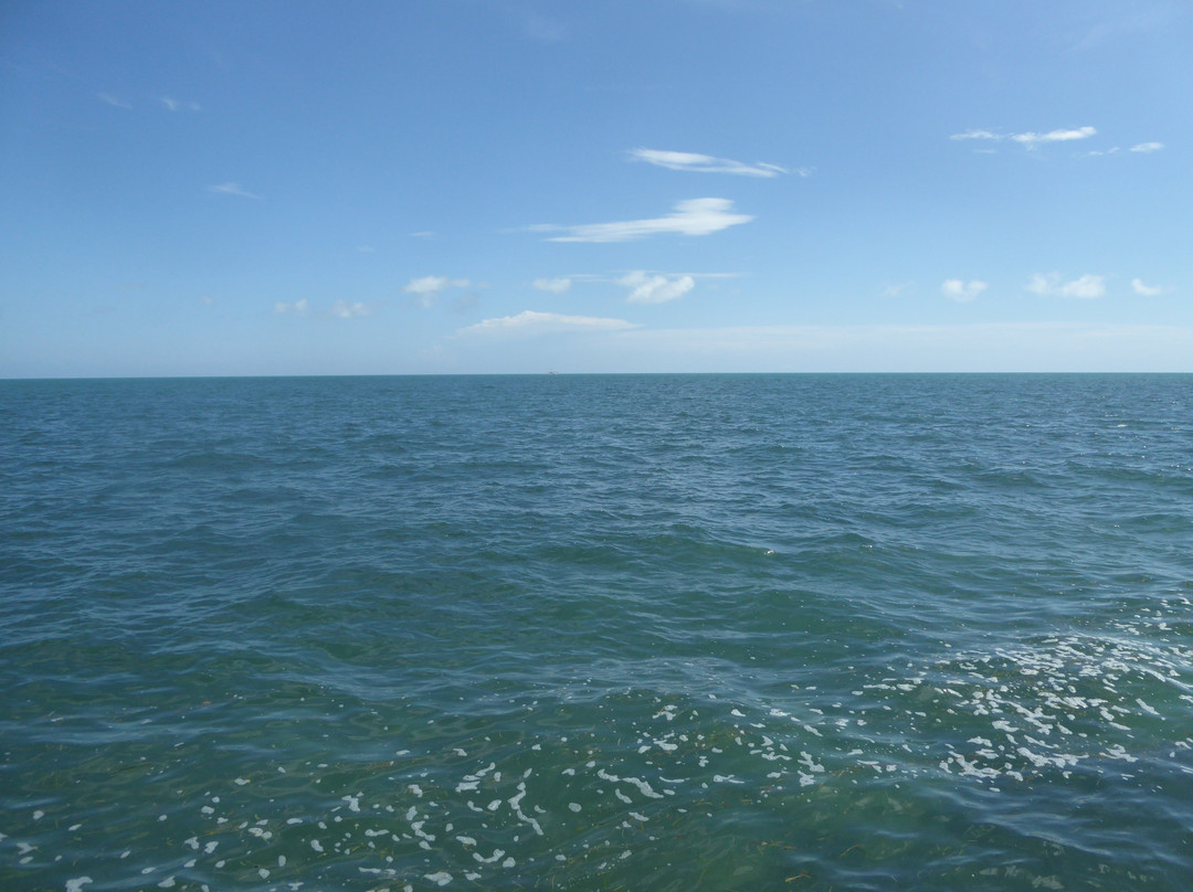 2023年12月White Street Pier景点攻略-White Street Pier门票预订|地址|图片-White Street ...