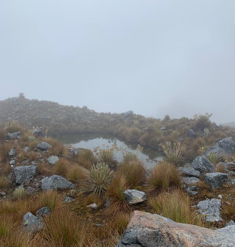 2023年12月El Cocuy National Park景点攻略-El Cocuy National Park门票预订|地址|图片-El ...