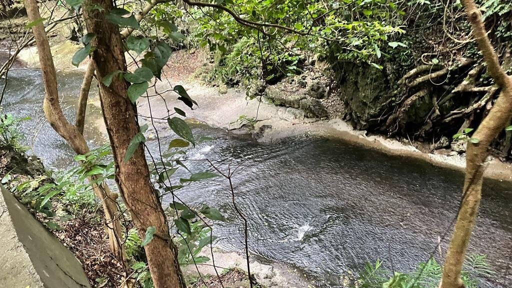 2024年12月Gangala山谷景点攻略-Gangala山谷门票预订|地址|图片-Gangala山谷景点点评-猫途鹰