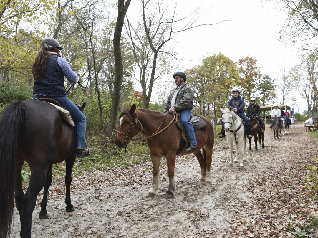 2024年1月Jester Park Equestrian Center景点攻略-Jester Park Equestrian Center ...