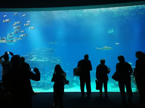 2025年3月Underwater Observatory Marine Park景点攻略-Underwater Observatory ...