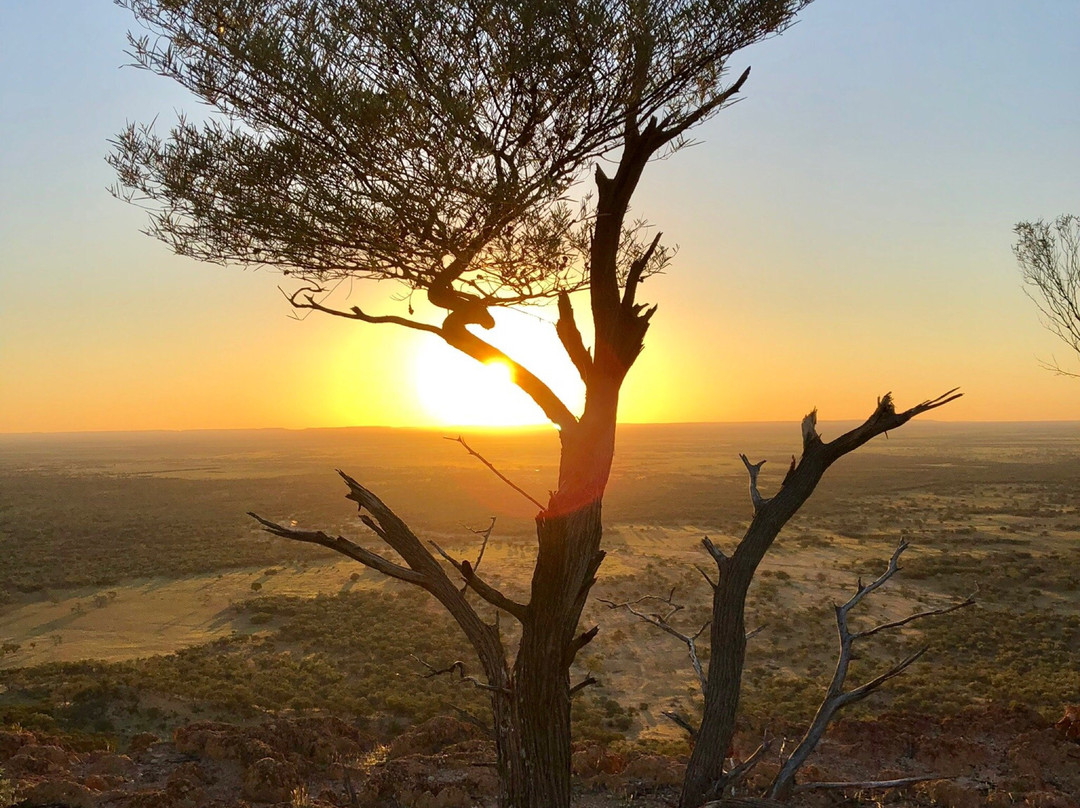 2023年11月Yaraka旅游景点攻略-Yaraka旅游住宿,-Yaraka旅游美食-猫途鹰