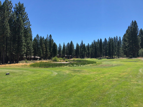 2024年1月Dragon Golf Course at Nakoma Resort景点攻略-Dragon Golf Course at ...