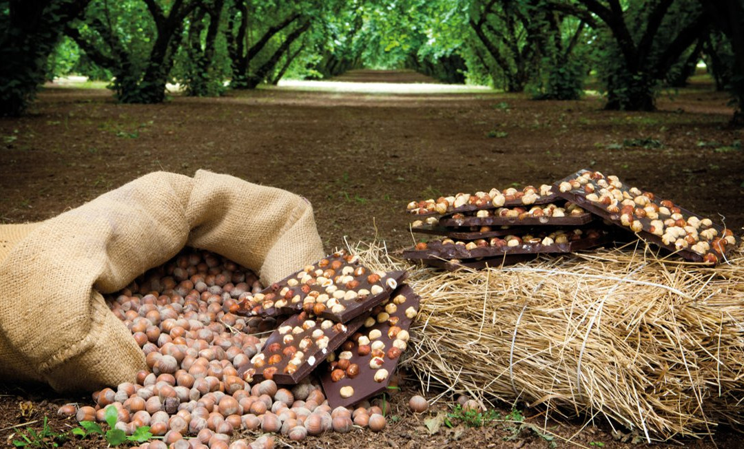 2024年2月Cimina旅游景点攻略-Cimina旅游住宿,-Cimina旅游美食-猫途鹰