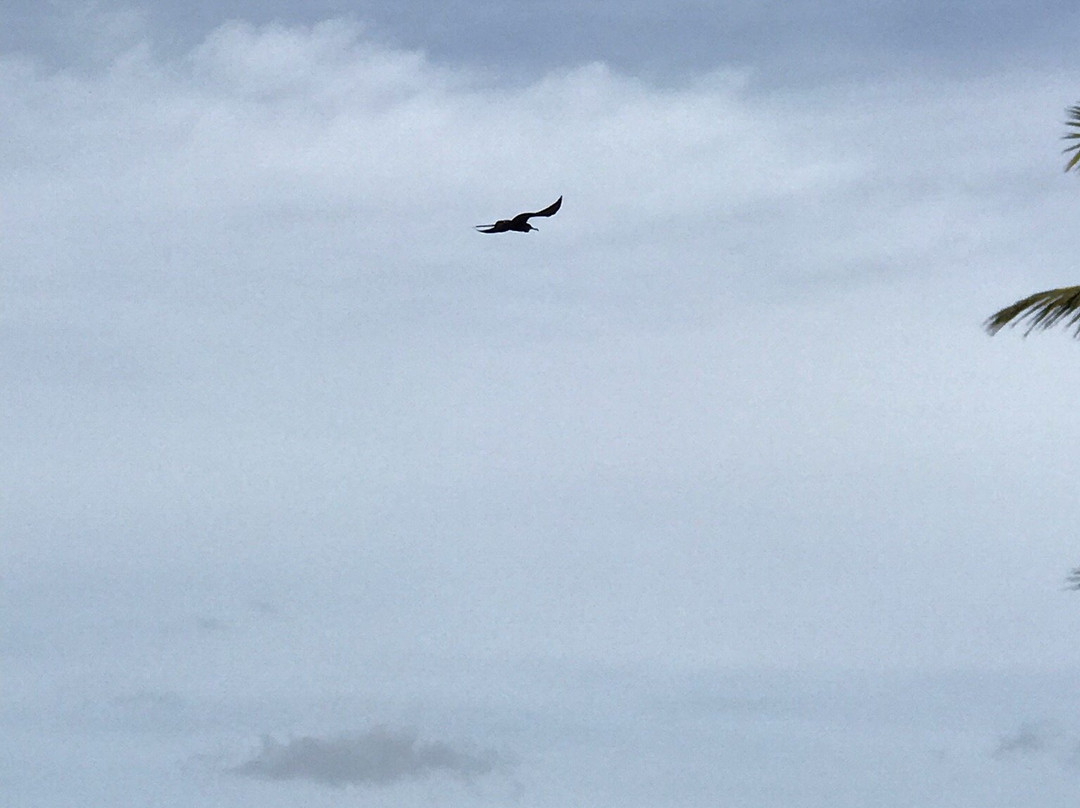 2023年12月Bear Point Sanctuary景点攻略-Bear Point Sanctuary门票预订|地址|图片-Bear ...