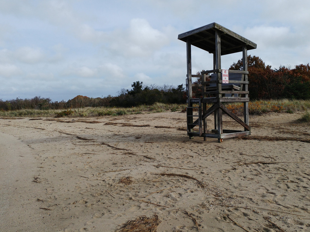 2024年10月Gray's Beach景点攻略-Gray's Beach门票预订|地址|图片-Gray's Beach景点点评-猫途鹰