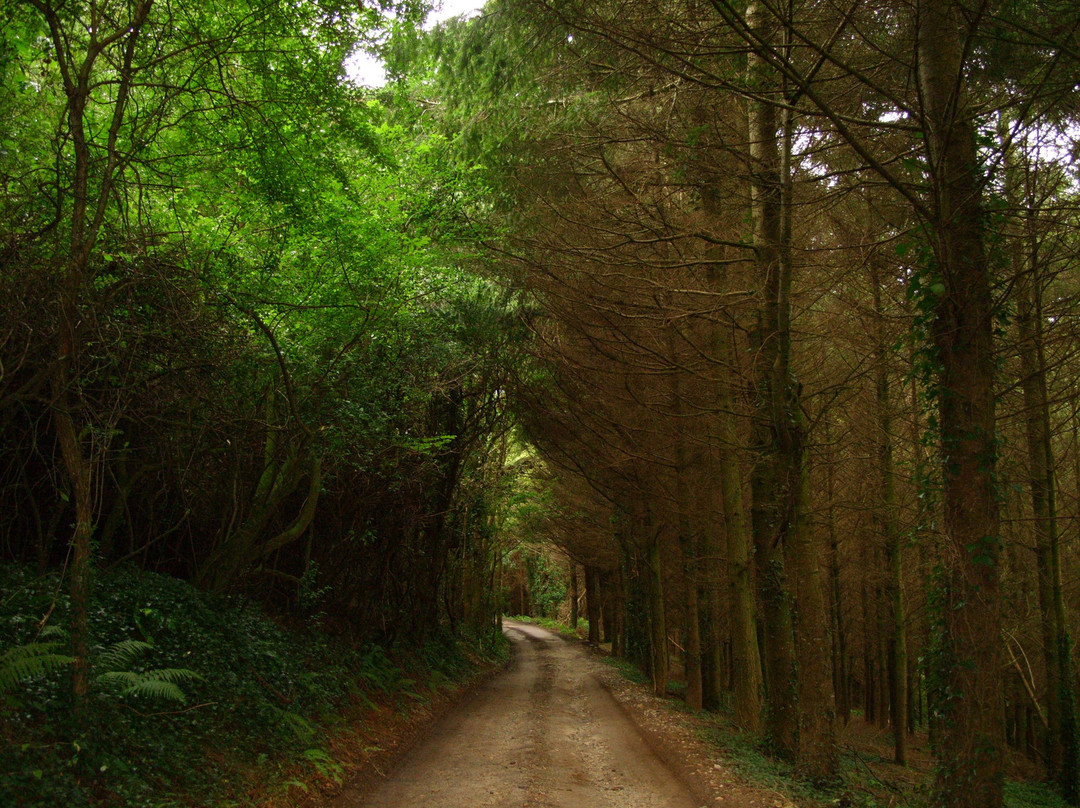 2024年12月Tresillian旅游景点攻略-Tresillian旅游住宿,-Tresillian旅游美食-猫途鹰