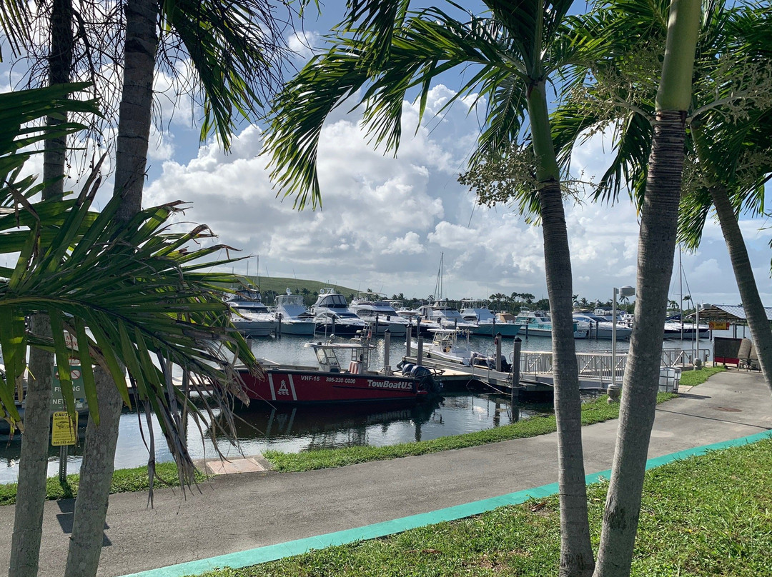 2024年3月Black Point Park and Marina景点攻略-Black Point Park and Marina门票预订 ...