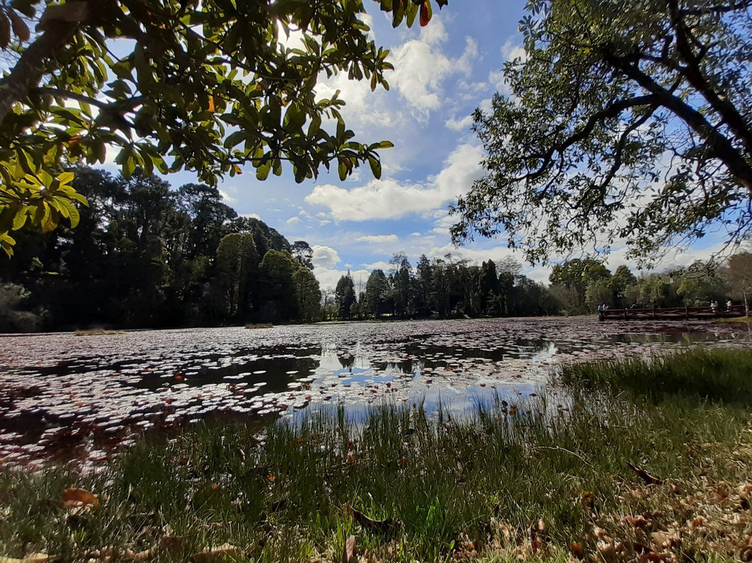 2023年12月Parque Saval景点攻略-Parque Saval门票预订|地址|图片-Parque Saval景点点评-猫途鹰