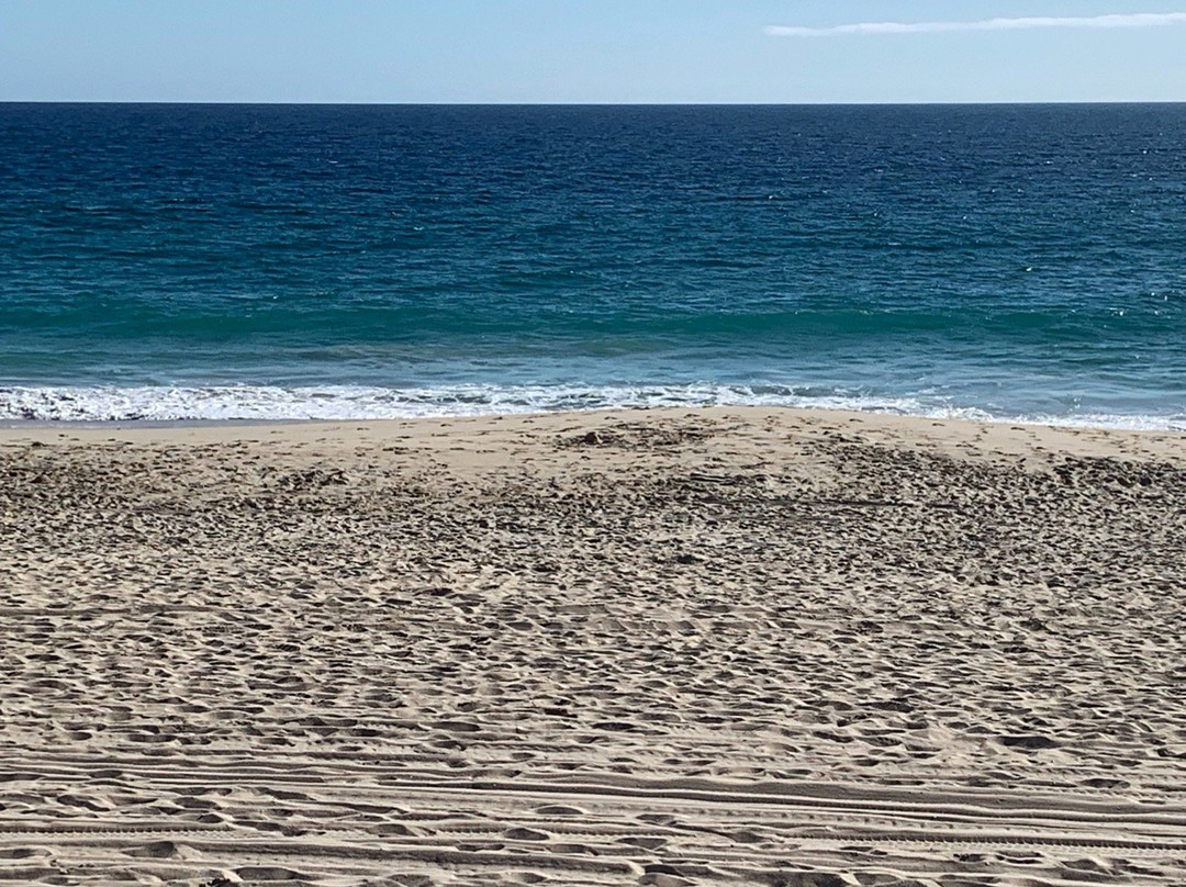 The Sandbar Scarborough Beach - (斯卡伯勒)餐厅/美食点评 - 餐厅地址/餐厅电话/餐厅周边信息/餐厅推荐菜 ...
