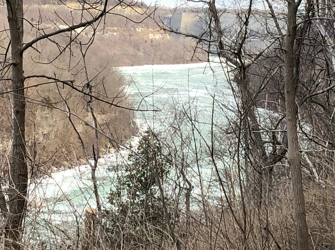2024年8月Niagara Gorge Trail景点攻略-Niagara Gorge Trail门票预订|地址|图片-Niagara ...