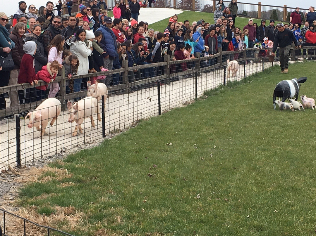 2024年1月Goebbert's Pumpkin Patch景点攻略-Goebbert's Pumpkin Patch门票预订|地址|图片 ...