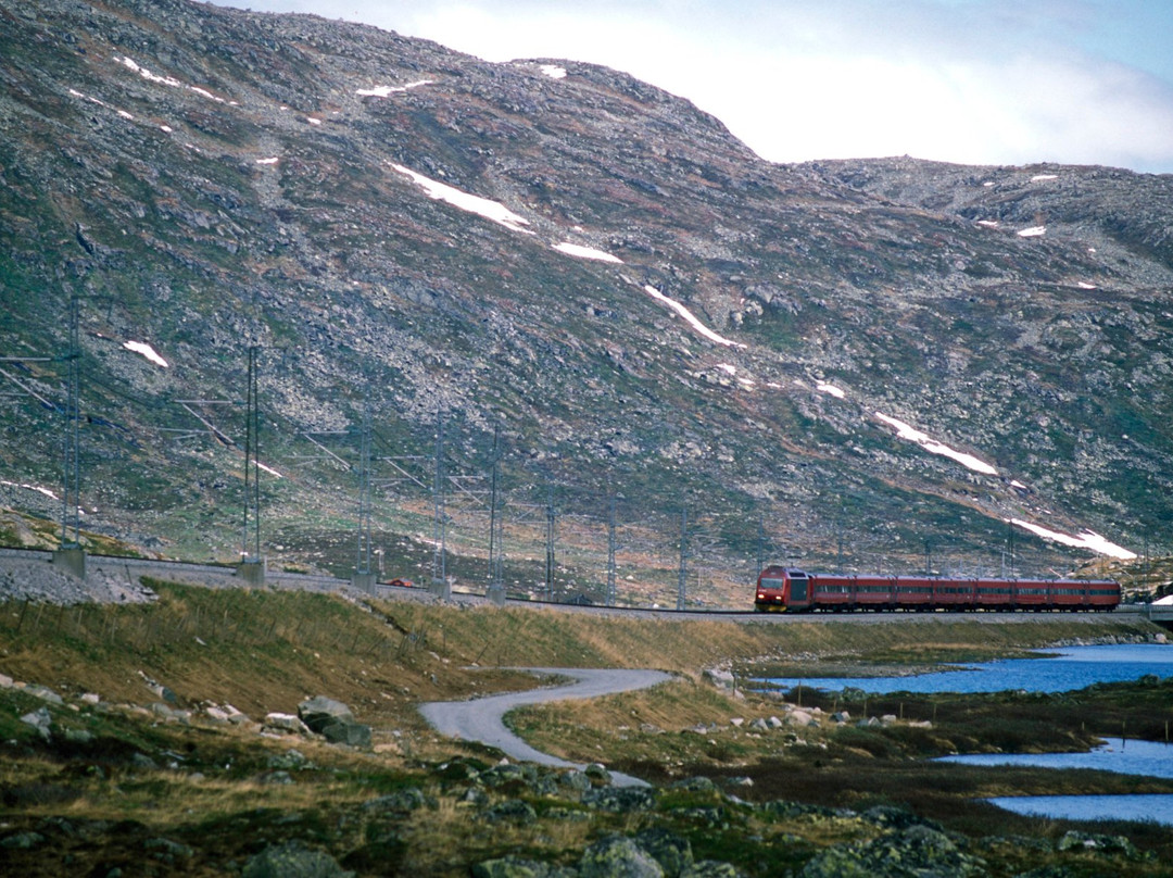 2024年2月The Bergen Railway景点攻略-The Bergen Railway门票预订|地址|图片-The Bergen ...