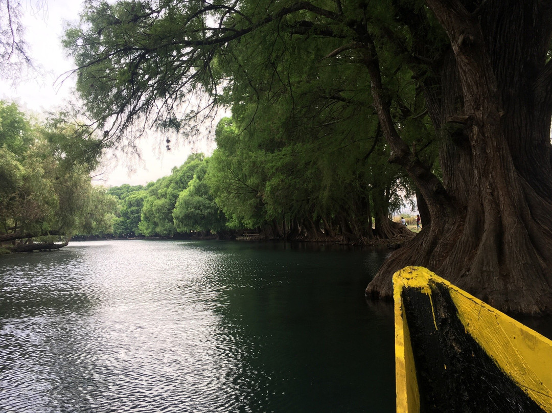 2024年10月Camecuaro旅游景点攻略-Camecuaro旅游住宿,-Camecuaro旅游美食-猫途鹰