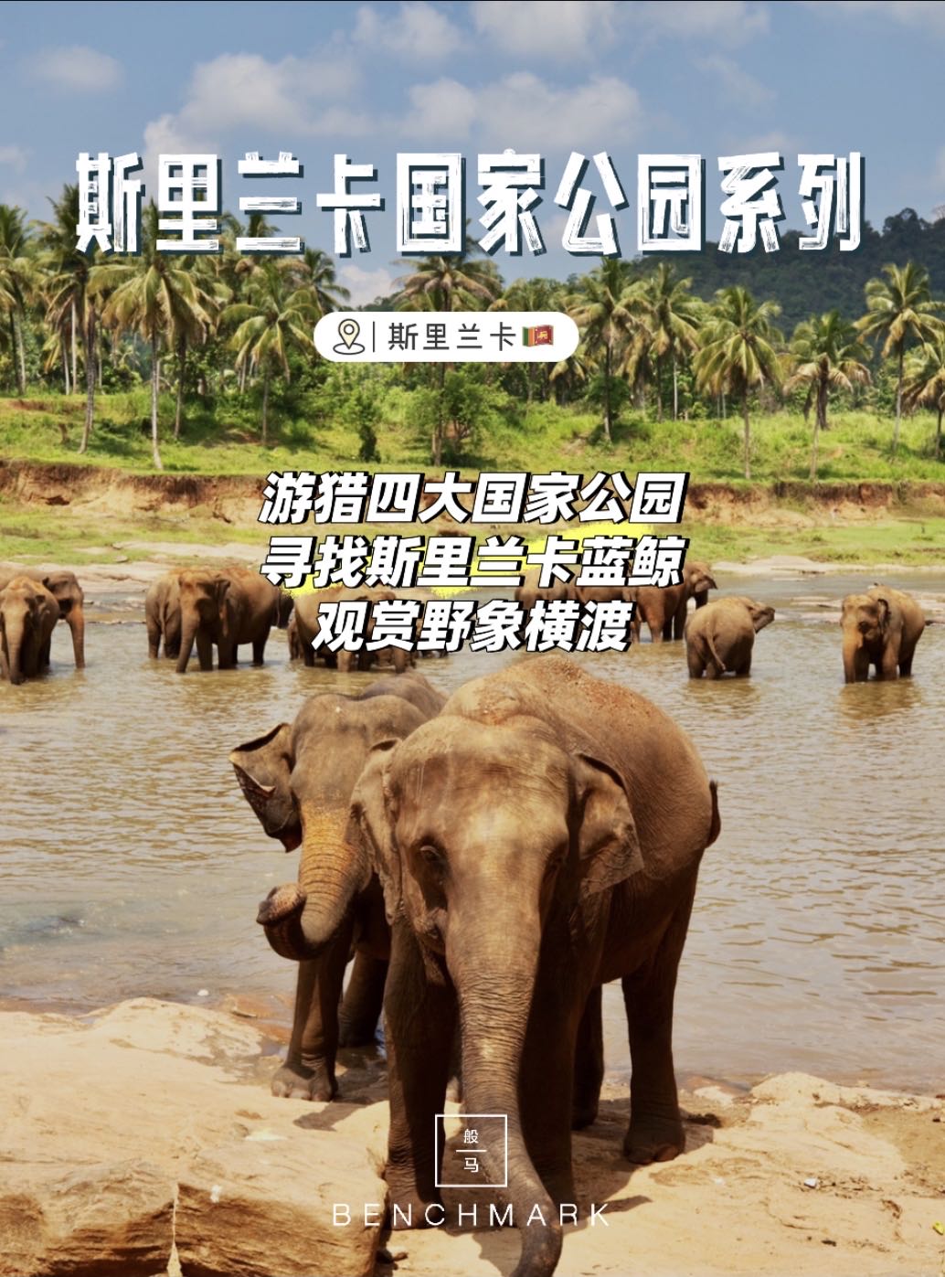 亲近自然· 国家公园系列之斯里兰卡动植物观测亲子营 8天7晚 | 游猎四大国家公园+寻找斯里兰卡蓝鲸+观赏野象横渡+和斯里兰卡土著人学习弓箭的 ...