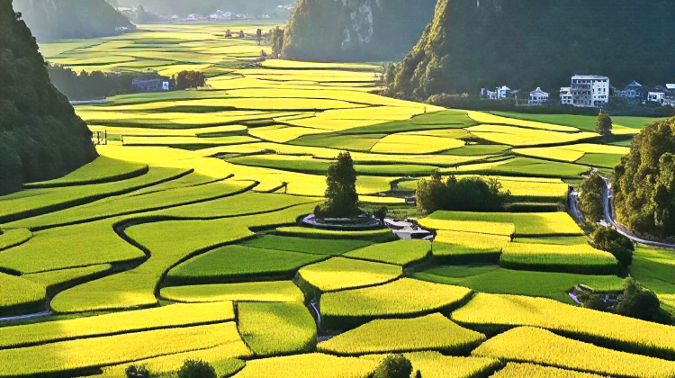 8D7N · Private Tours · Guiyang + Huangguoshu Waterfall + Libo + Xijiang ...