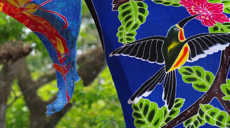 15 Best National Parks Tours & Trips, Excursions