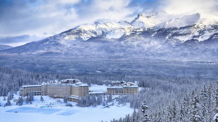 15 Best Vancouver Tours & Trips, Excursions