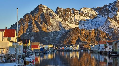 Winter Full-Day Guided Tour of the Lofoten Islands线路推荐【携程玩乐】