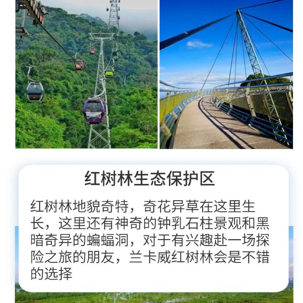 兰卡威天空之桥 巨鹰广场 兰卡威地质公园 红树林生态保护区1日包车游【兰卡威红树林 中文包车游 悠闲畅玩】线路推荐【携程玩乐】