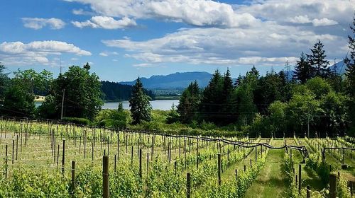 Cowichan Valley Premium Wine Tour线路推荐【携程玩乐】