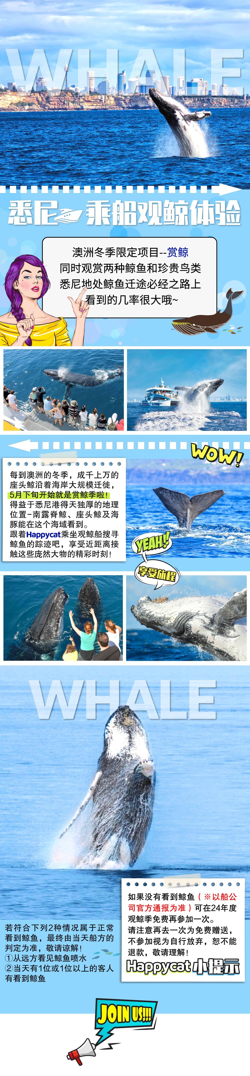 悉尼观鲸游船半日游【近距离赏鲸/网红小黑船小白船小灰船】线路推荐【携程玩乐】
