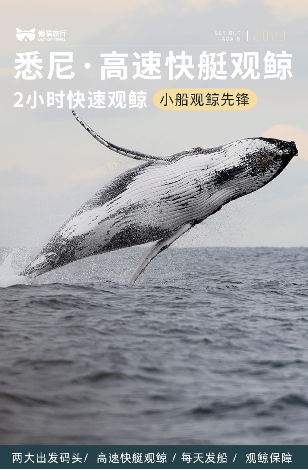 澳大利亚悉尼Ocean Extreme快艇观鲸【环形码头/曼利码头两地出发 小船观鲸 更刺激】线路推荐【携程玩乐】