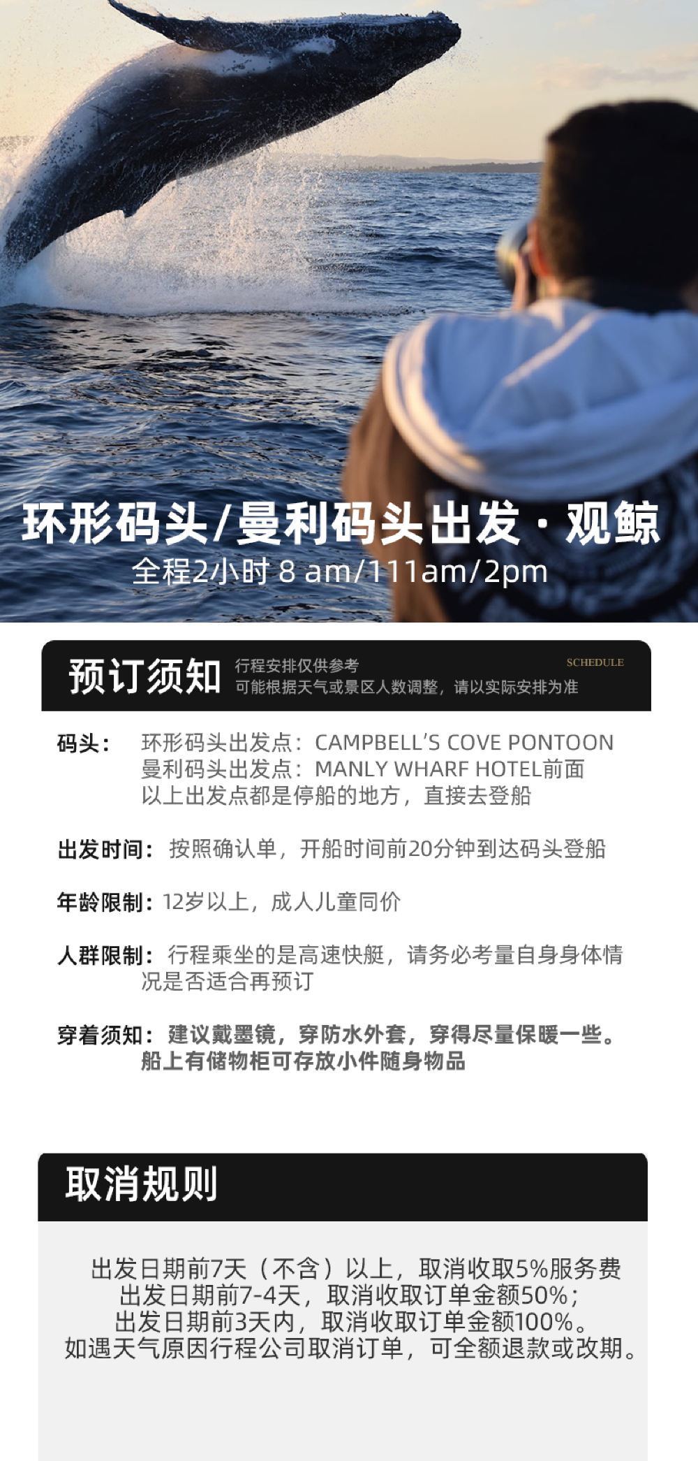 澳大利亚悉尼Ocean Extreme快艇观鲸【环形码头/曼利码头两地出发 小船观鲸 更刺激】线路推荐【携程玩乐】