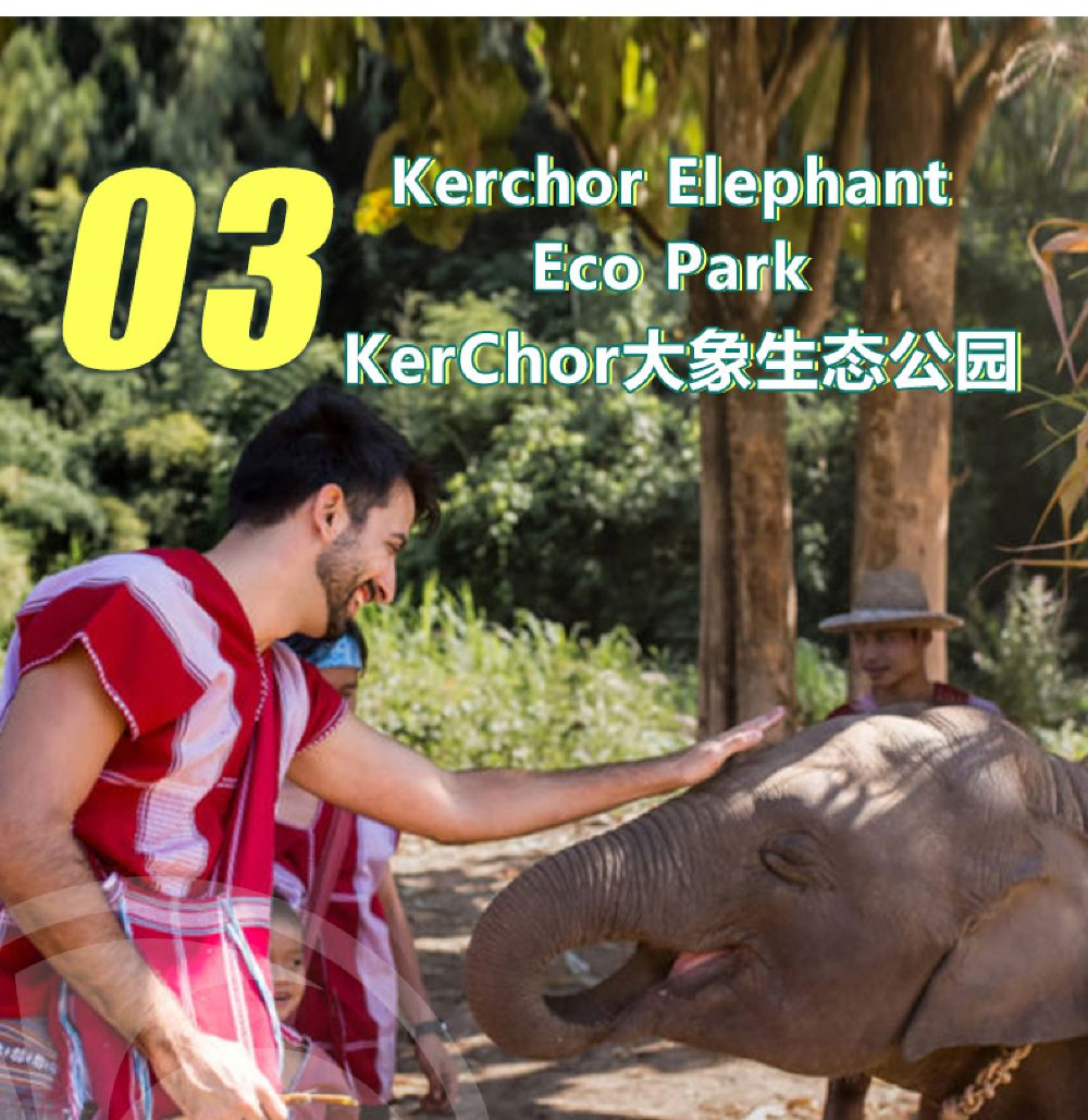 泰国清迈可巧大象营一游【KECHO大象保护营+酒店接送】线路推荐【携程玩乐】