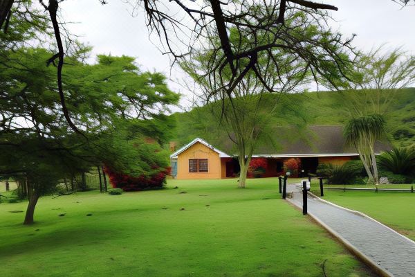 姆蓬戈私人动物保护区精品度假村(Premier Resort Mpongo Private Game Reserve)预订价格,联系电话位置 ...