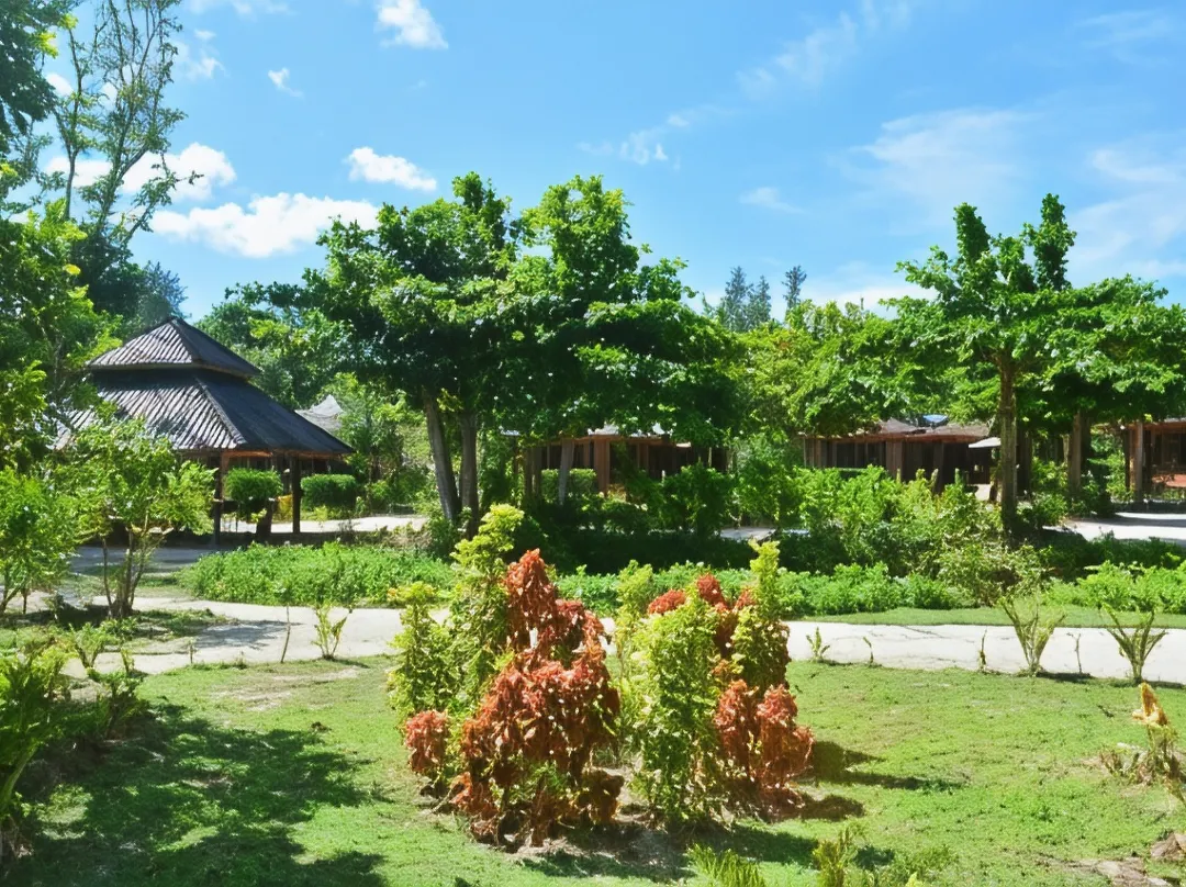 Heliconia Grove - Mahé