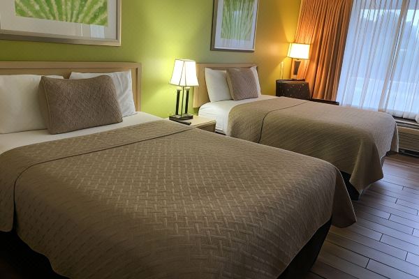 RW酒店(RW Hotel)预订价格,联系电话位置地址【携程酒店】