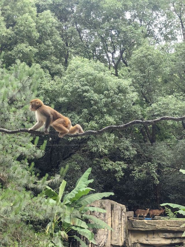 宁波宁波野生动物园游玩攻略简介,宁波宁波野生动物园门票/地址/图片/开放时间/照片/门票价格【携程攻略】