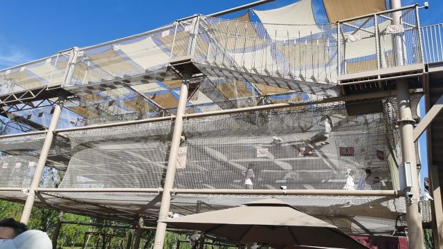 北京ZooLand动物王国游玩攻略简介,北京ZooLand动物王国门票/地址/图片/开放时间/照片/门票价格【携程攻略】