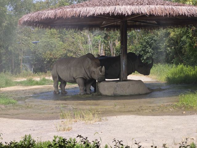 宁波宁波野生动物园游玩攻略简介,宁波宁波野生动物园门票/地址/图片/开放时间/照片/门票价格【携程攻略】