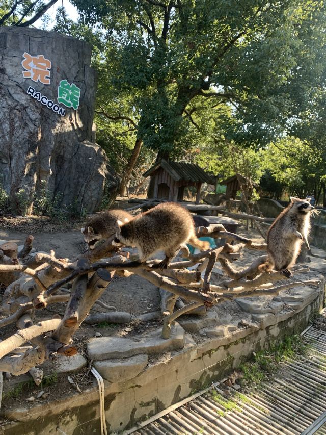 宁波宁波野生动物园游玩攻略简介,宁波宁波野生动物园门票/地址/图片/开放时间/照片/门票价格【携程攻略】